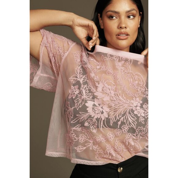 Anthropologie | Tops | By Anthropologie Shortsleeve Embroidered Mesh Blouse Top Sheer 3xps New ...